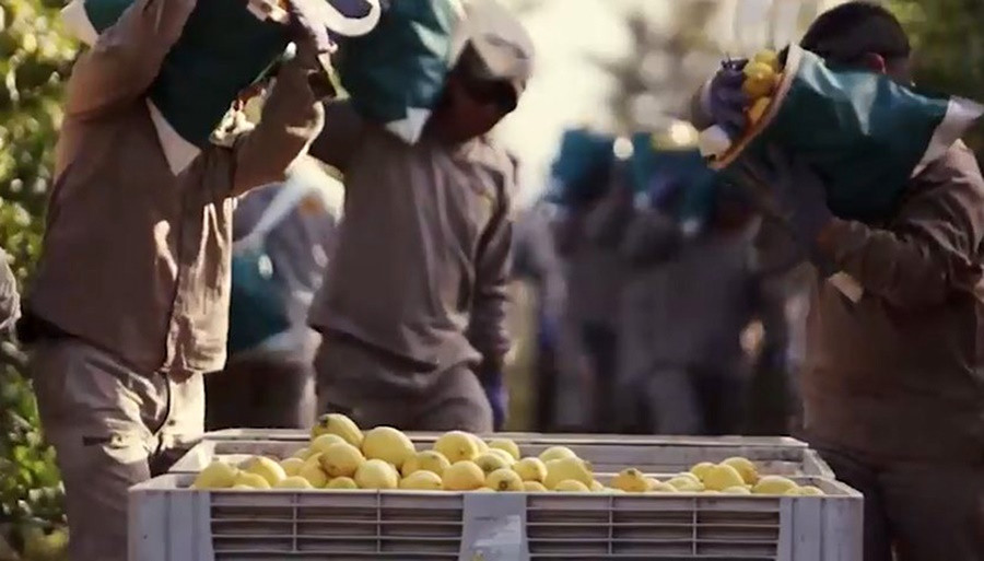 El campo rechazó el dólar diferencial para las economías regionales ...