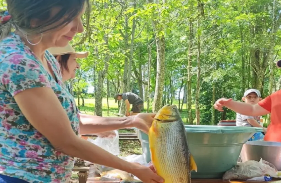 Nuevas estrategias para diversificar y ampliar la oferta de pescado en ...