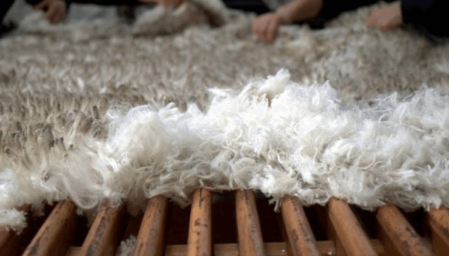 De la esquila al mundo: Una medida oficial abre más oportunidades para ...